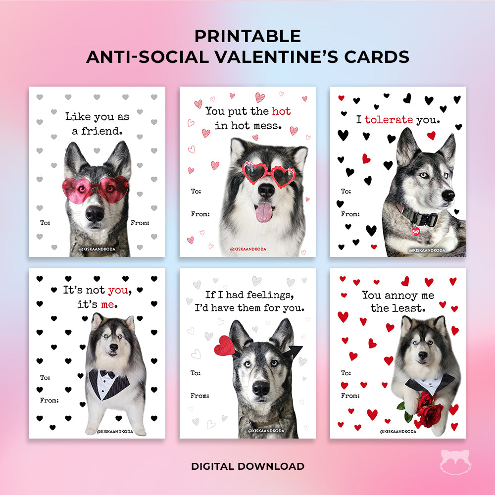 Anti-Valentine's Day Cards | Printable Husky Valentine's Cards – Kiska ...