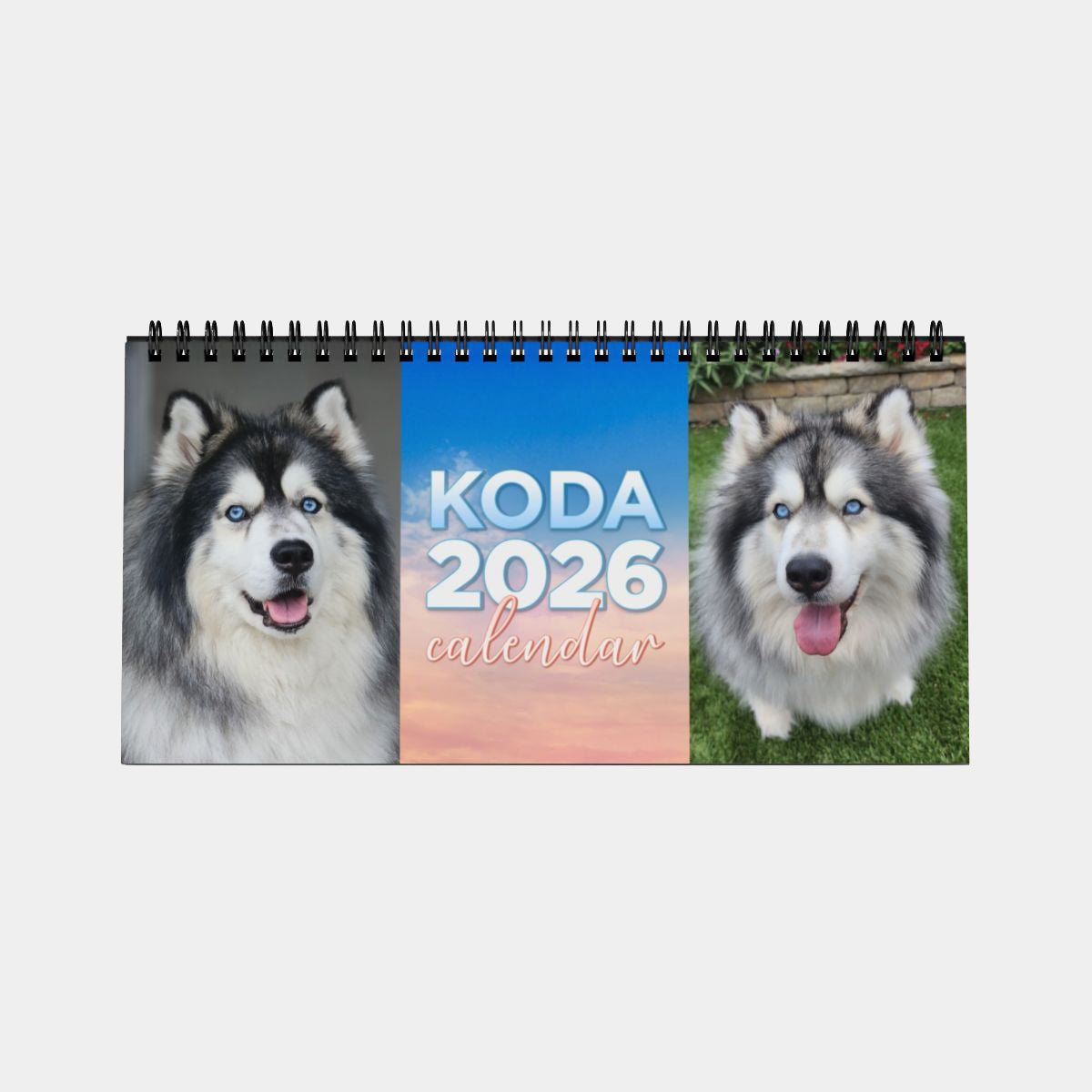 Koda 2026 Desk Calendar - Monthly Husky Desktop Calendar – Kiska and Koda
