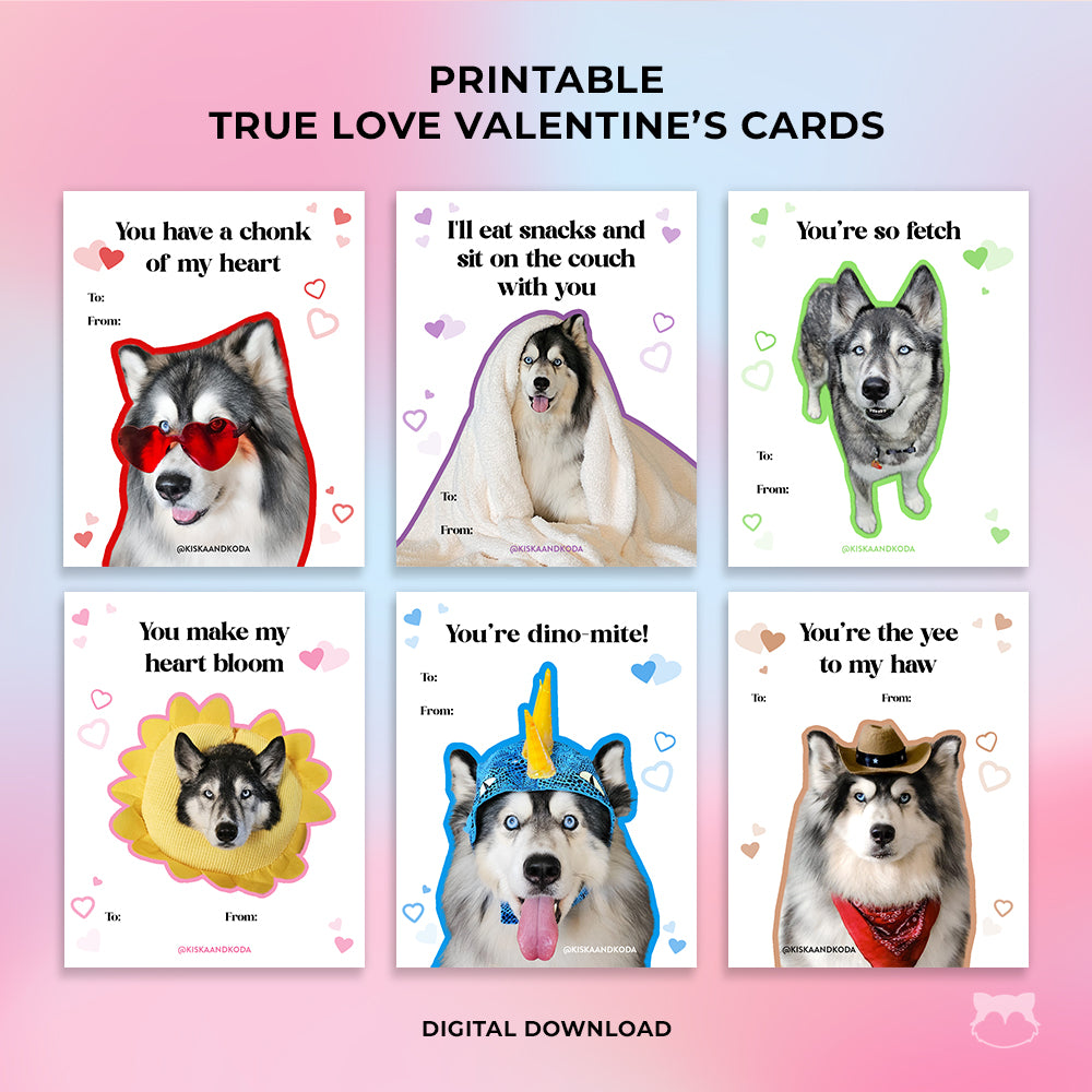 True Love Valentine's Day Cards | Printable Husky Valentine's Cards ...